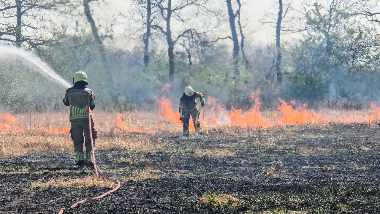 Natuurbrand Grensweg - Hallo Losser